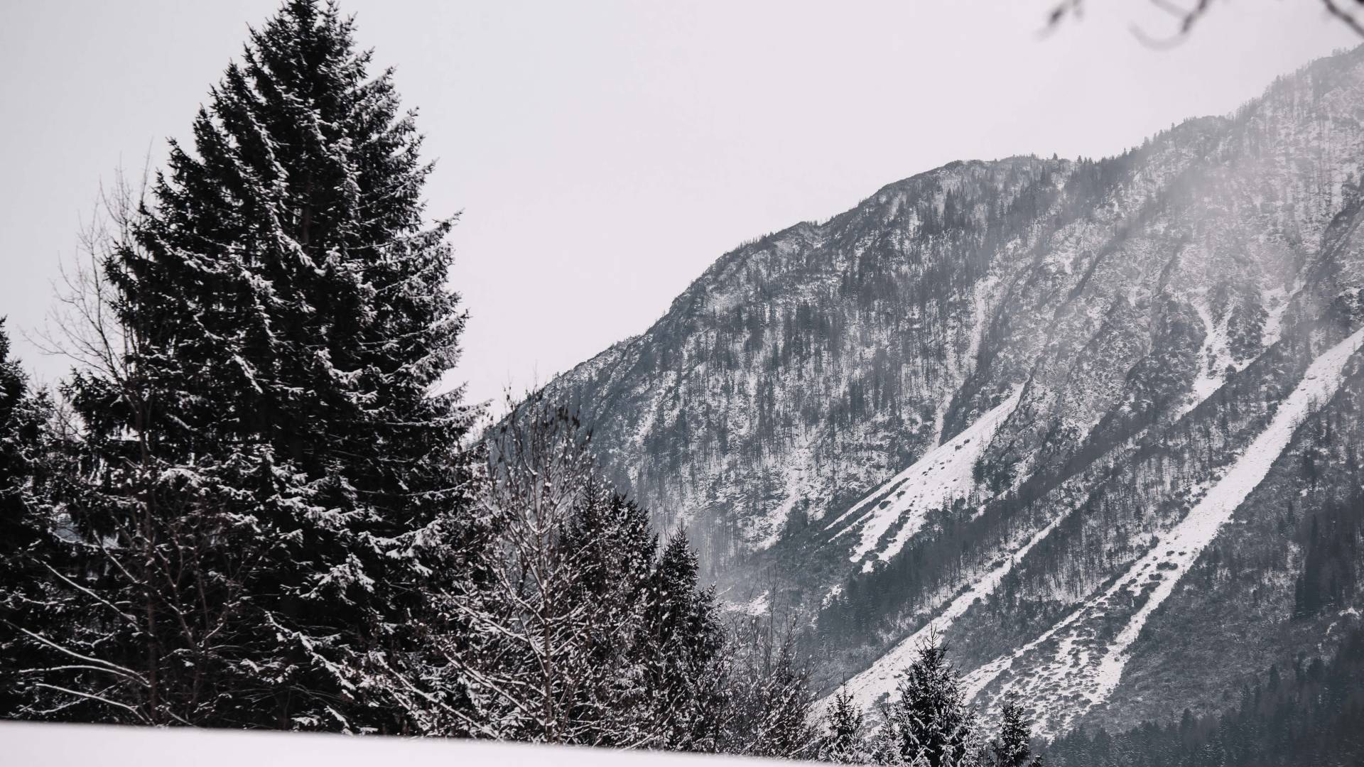 Naša družina spletnih medijev ima novega člana: Gorenjskainfo ...