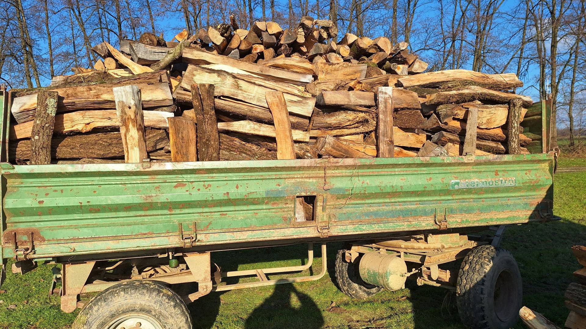 Suha drva | Sobotainfo.com