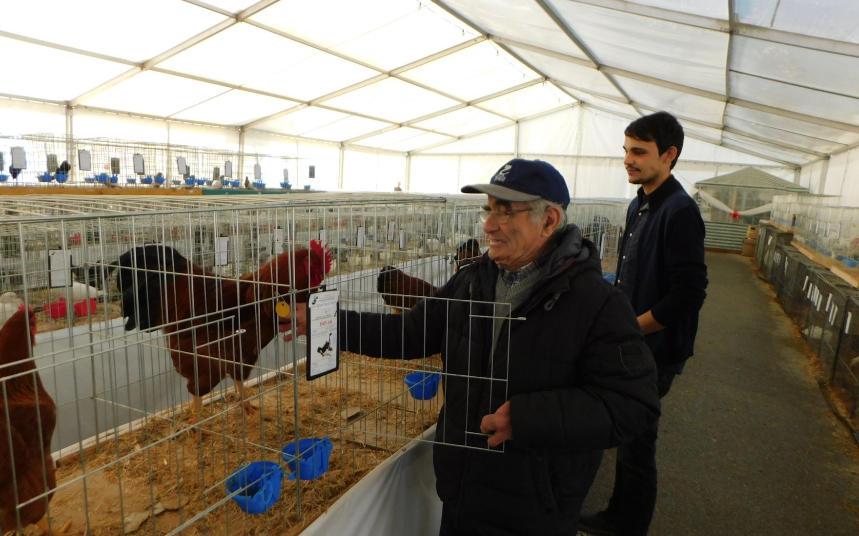 FOTO: V Odrancih pripravili razstavo malih živali | Sobotainfo.com