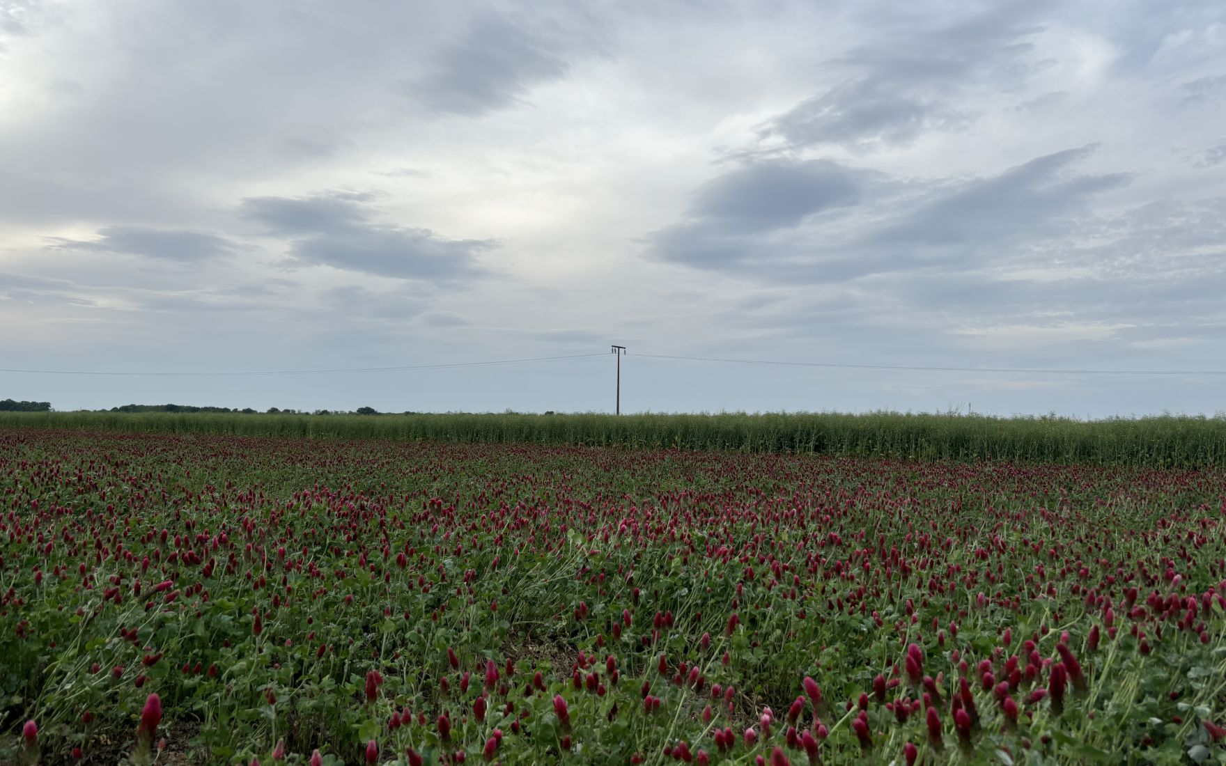 Po svežem začetku tedna prihaja pomladna toplina? | Sobotainfo.com