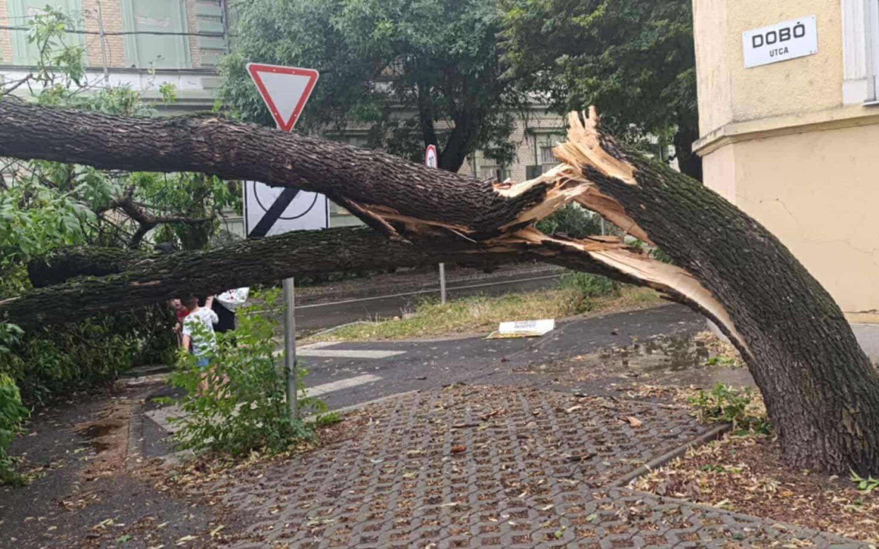 FOTO in VIDEO: Orkanski veter pustošil po Madžarski: Več kot 2200 ...