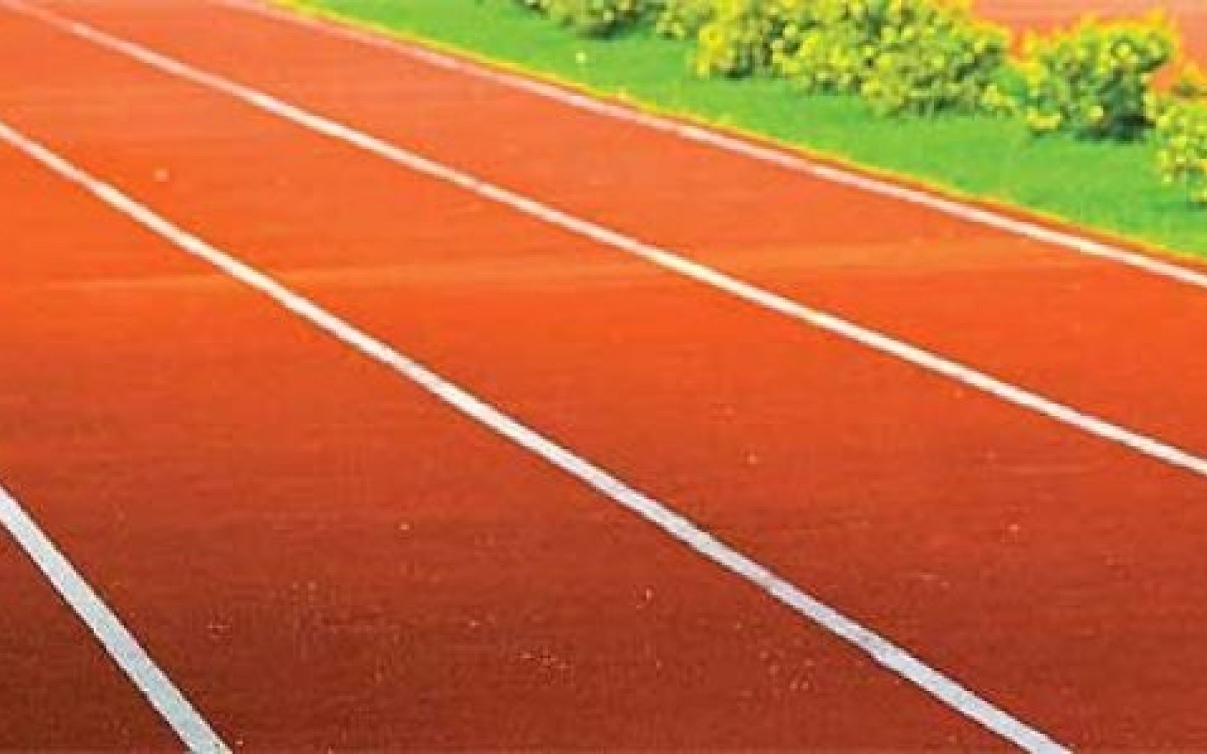 Aleš Zver in Tina Jureš atleta leta | Sobotainfo.com