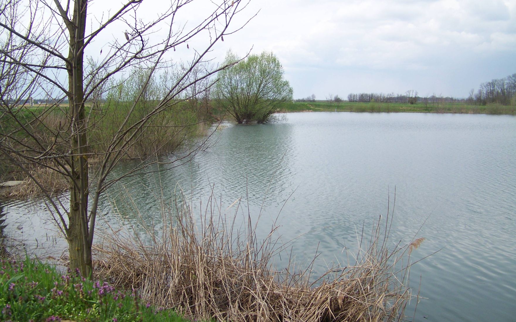 Vodni biser kvari uničen in nevaren leseni podest | Sobotainfo.com