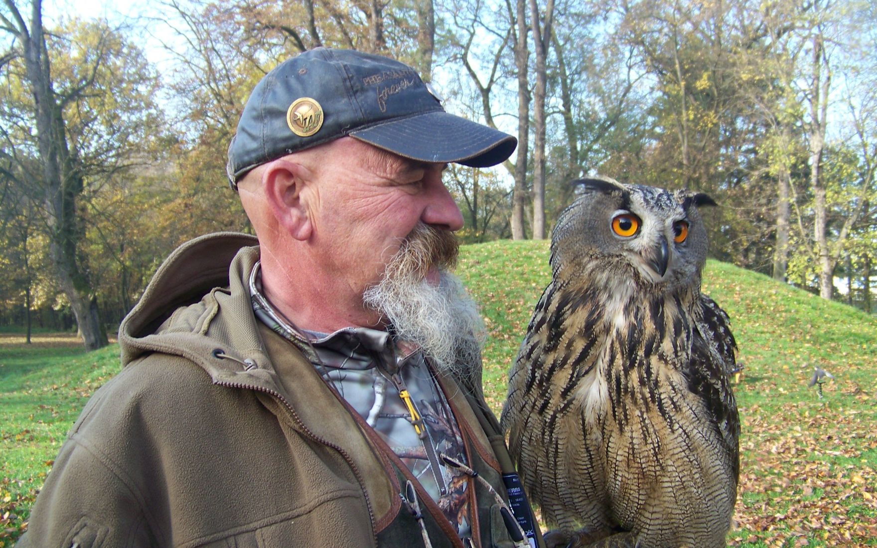 Sokolarji s pticami ujedami v lov na malo divjad | Sobotainfo.com