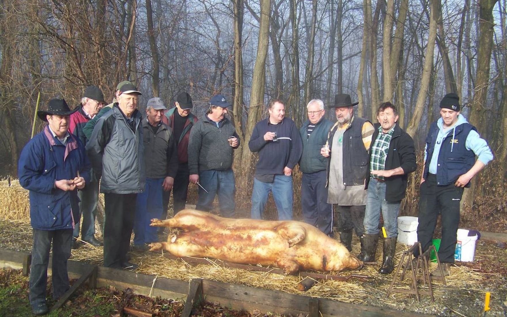 Kmečki običaj: Zaklali 320 kilogramskega prašiča | Sobotainfo.com
