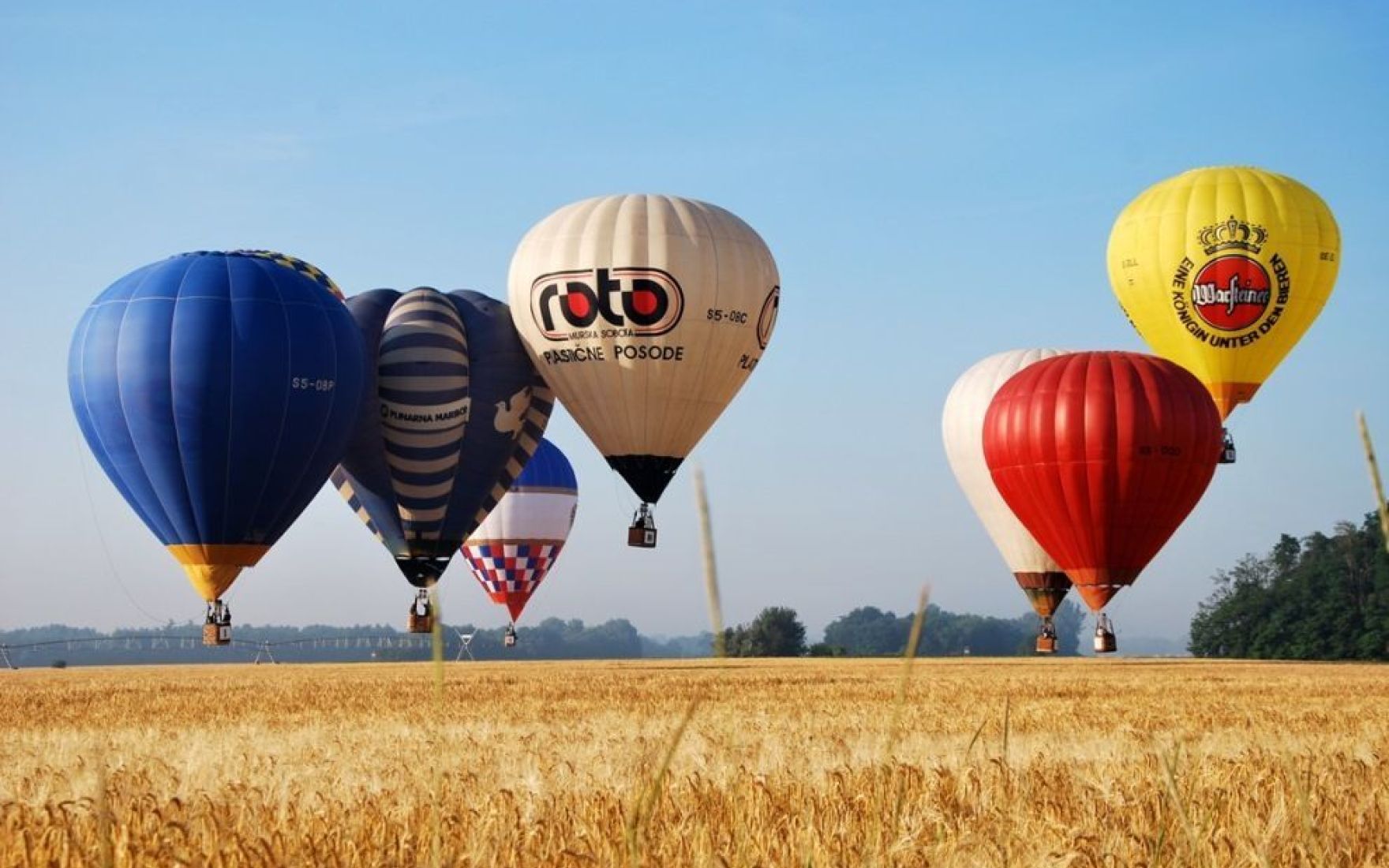 Državno prvenstvo naše nebo preplavilo s pisanimi baloni | Sobotainfo.com