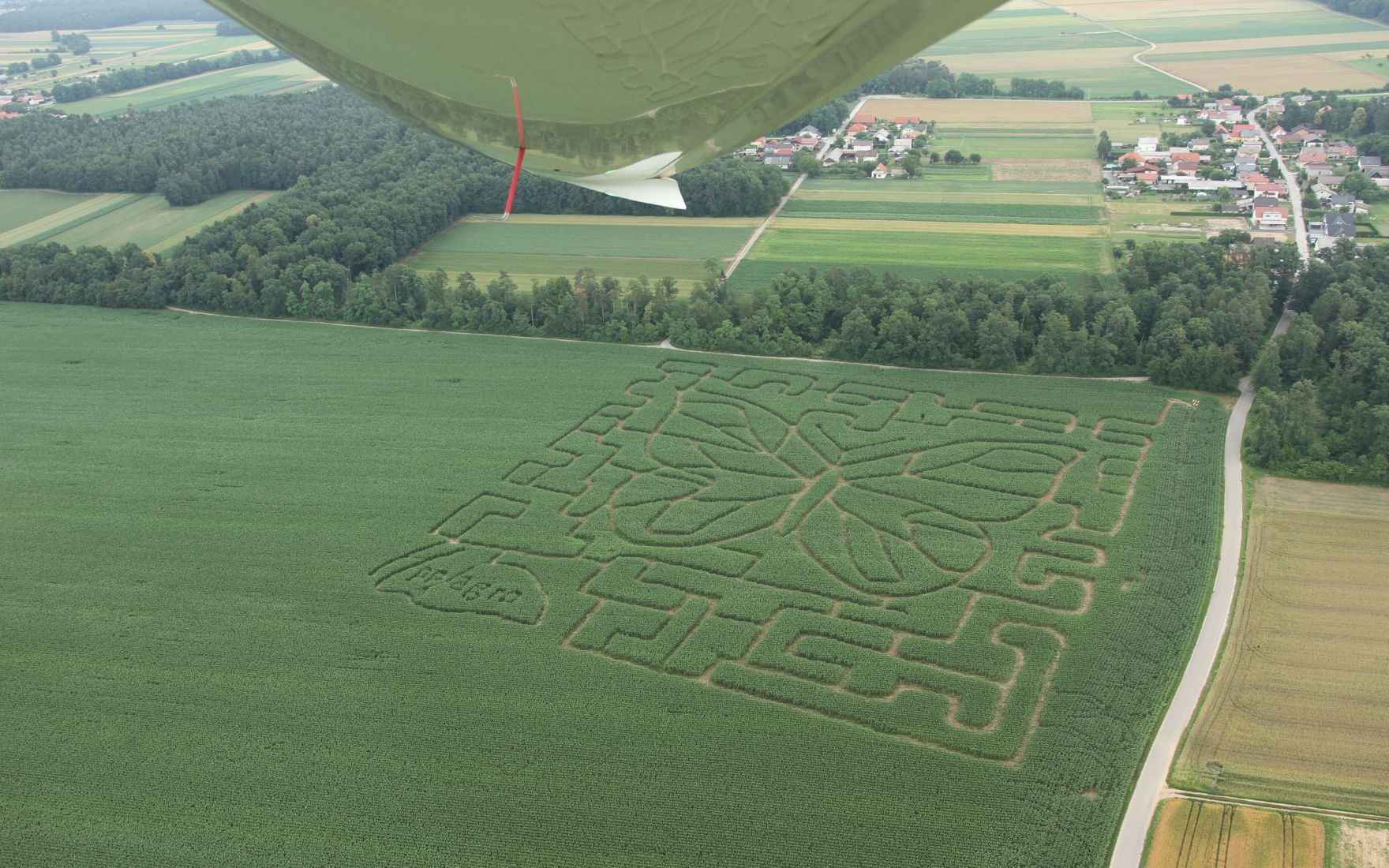 FOTO: Ste že videli nenavaden labirint, ki je nastal v koruzi ...