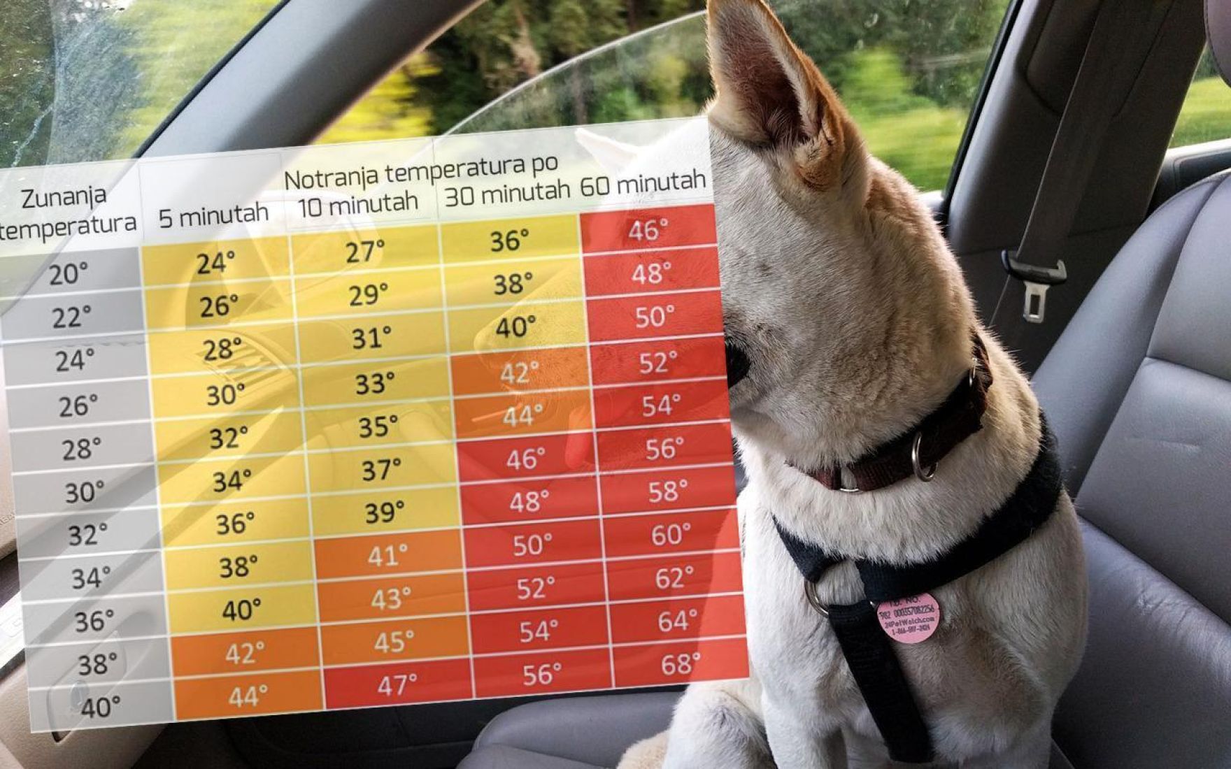 Previdno, temperature v avtu lahko presežejo tudi 75 stopinj Celzija ...
