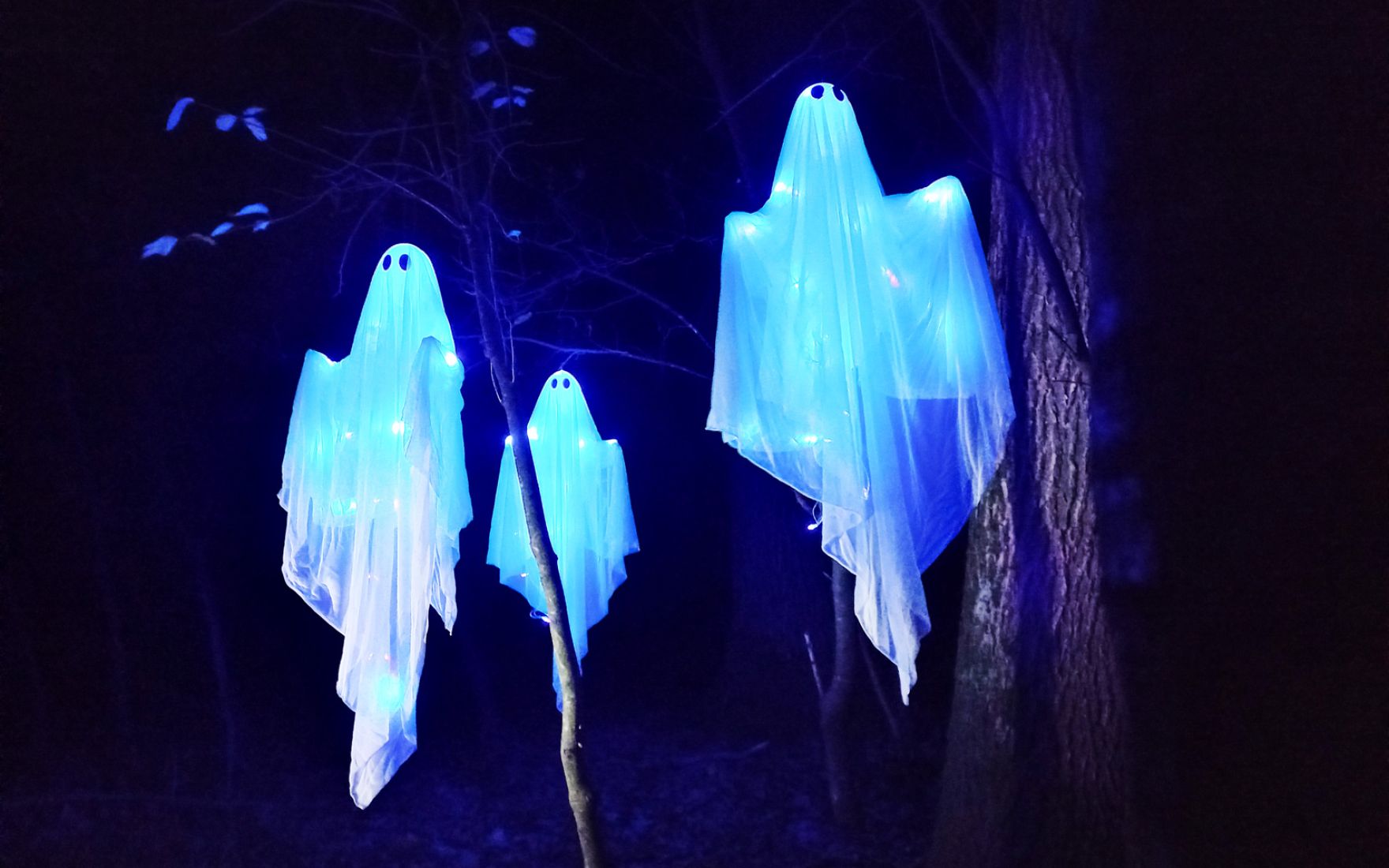 Pri Mariboru bo vzniknil Magični gozd - prepreden z bučami, čarovnicami ...