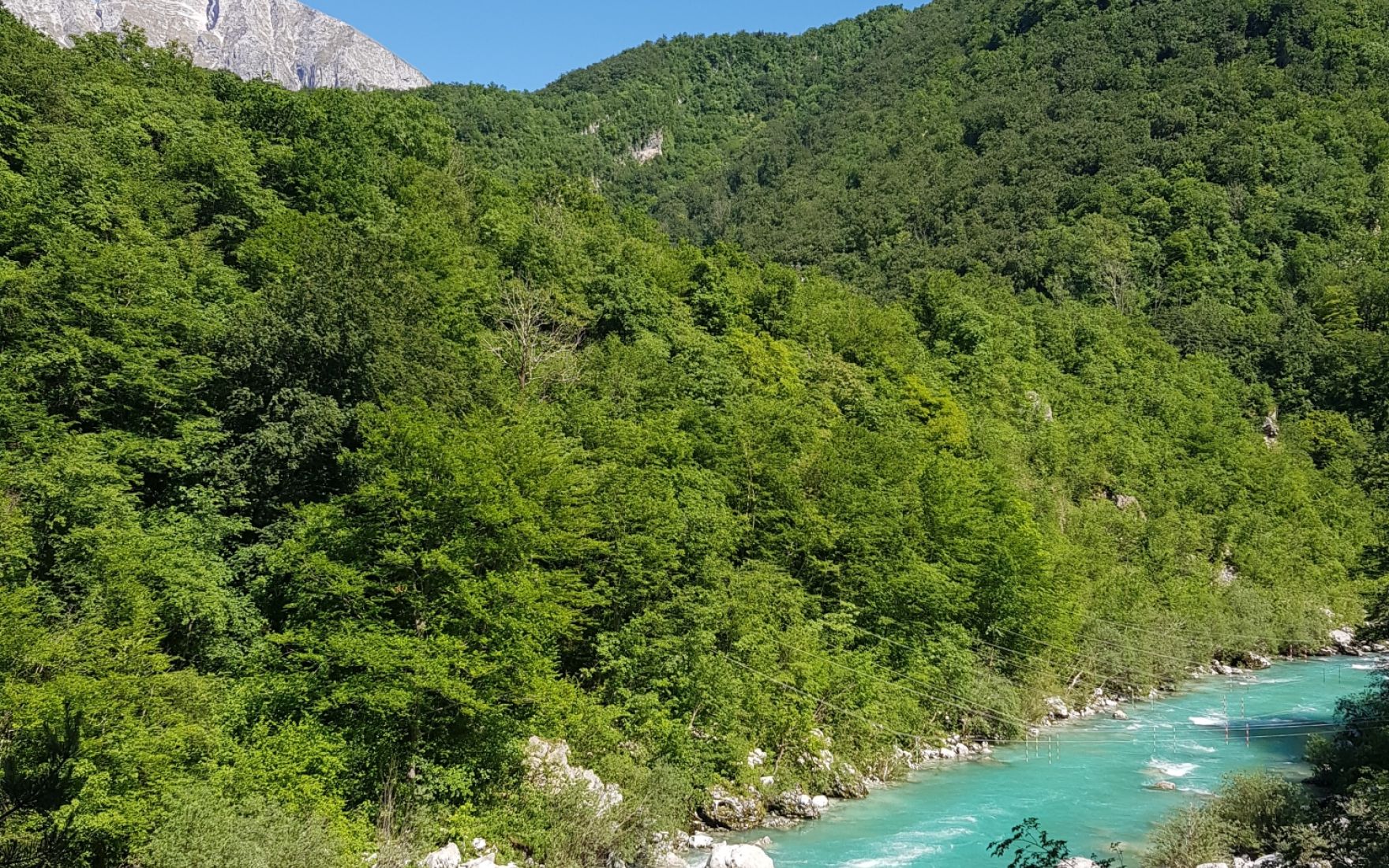 22-letnico odnesel močan tok, za njo skočila prijateljica | Sobotainfo.com