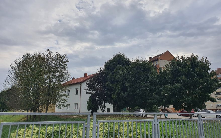 Kune in podlasice na plačljivih parkiriščih na Lendavski povzročajo ...