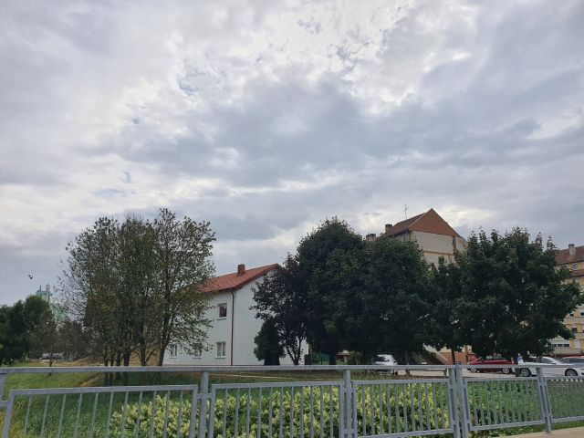 Kune in podlasice na plačljivih parkiriščih na Lendavski povzročajo ...