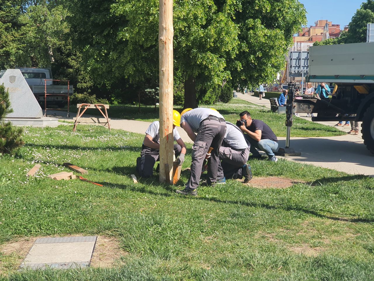 FOTO in VIDEO: Na Trgu zmage tudi letos tradicionalno postavili mlaj ...