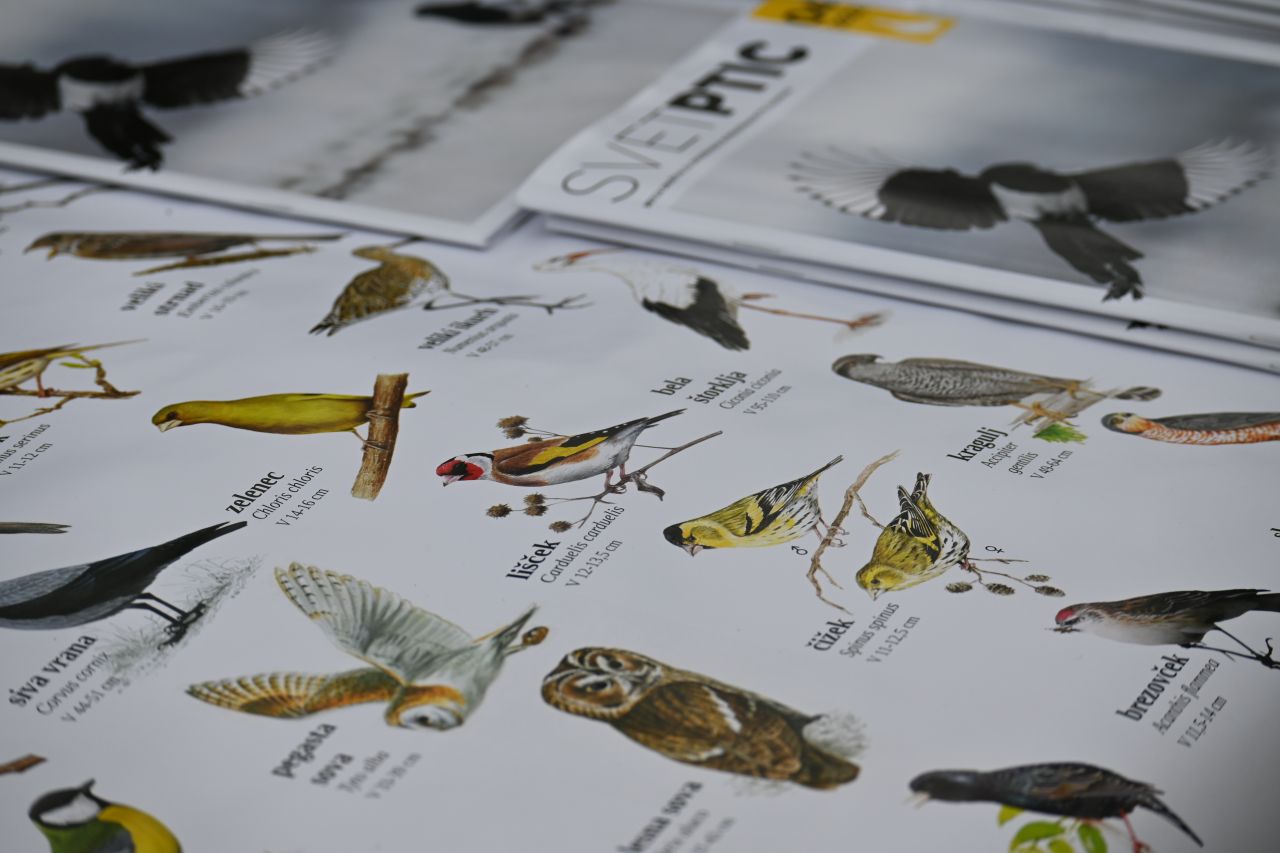 FOTO: Gregorjevo obeležili z dogodkom za vse ljubitelje ptic ...